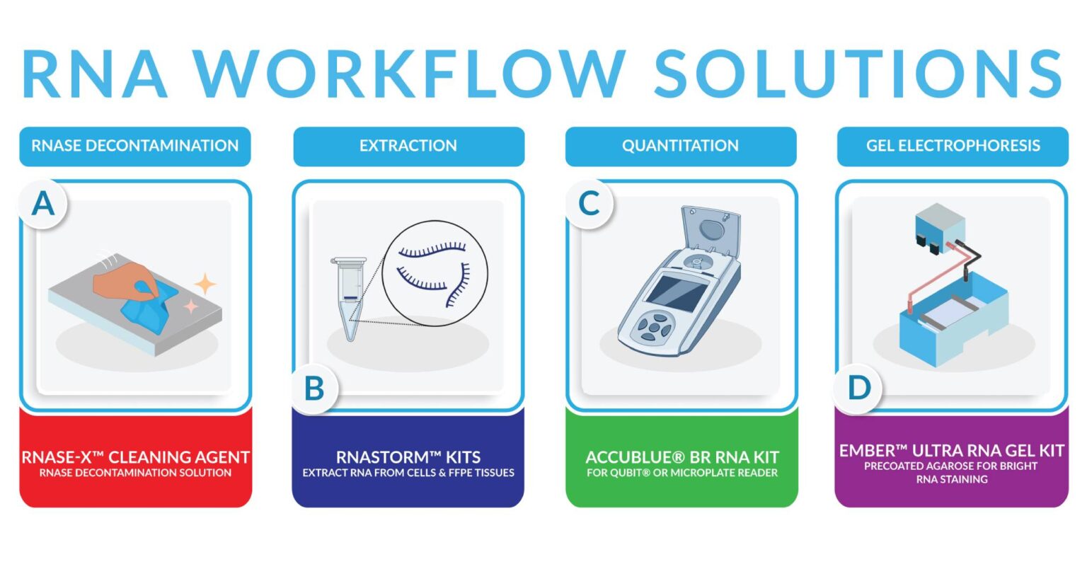 RNA Research Solutions - Biotium