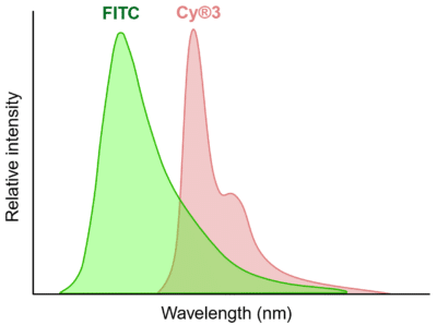 Tech Tip: Fluorescence Bleed-Through and Cross-Talk - Biotium
