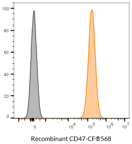 CD47 Recombinant Monoclonal Mouse Antibody (rB6H12) - Biotium Choice ...